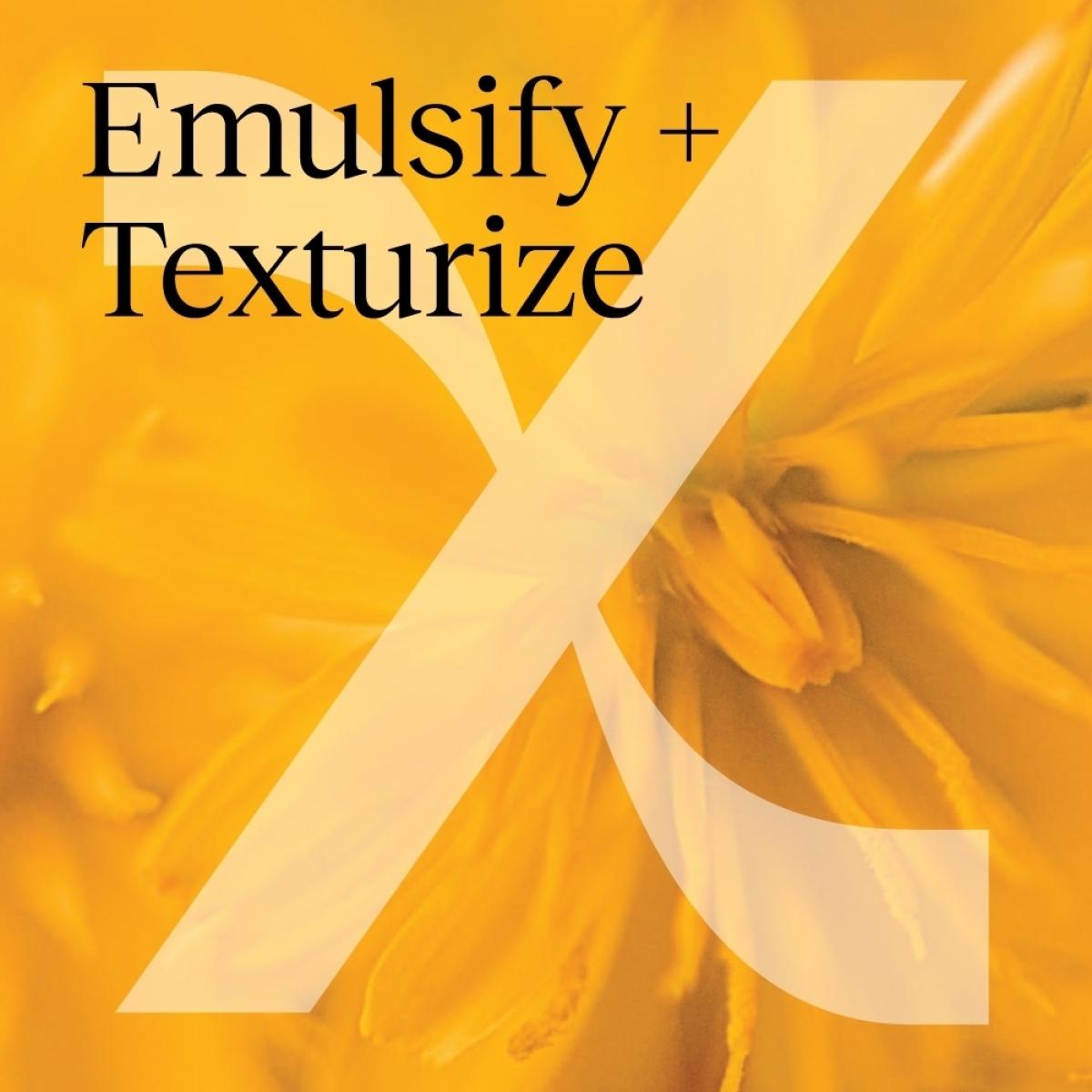 Lexemul® 561 MB - Inolex