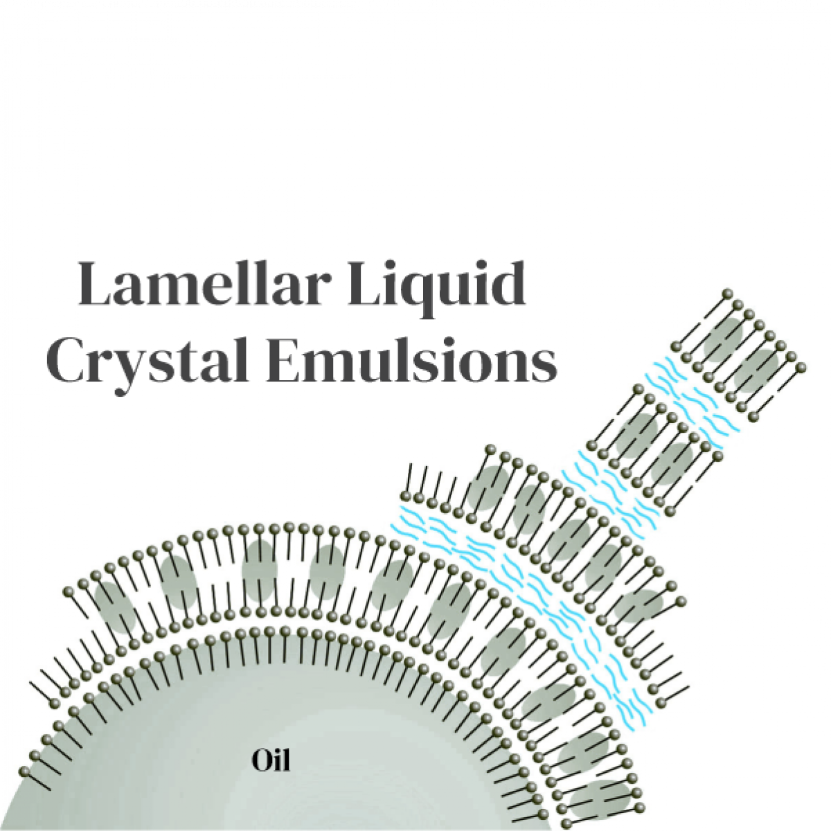 AminoSensyl™ SC - Inolex